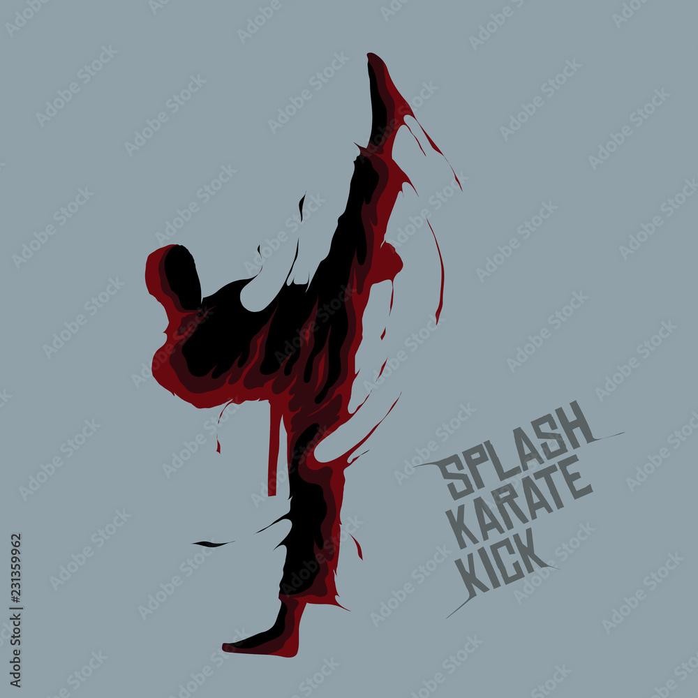 splash karate kick Stock Vector | Adobe Stock