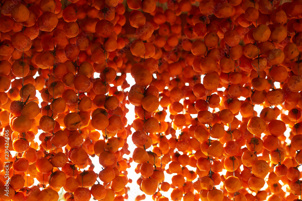 Persimmons hanging and drying to make dried persimmons. Dried persimmon ...