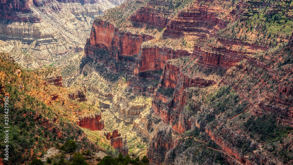 Foto de Coconino Overlook Looking down on the North Kaibab Trail ...