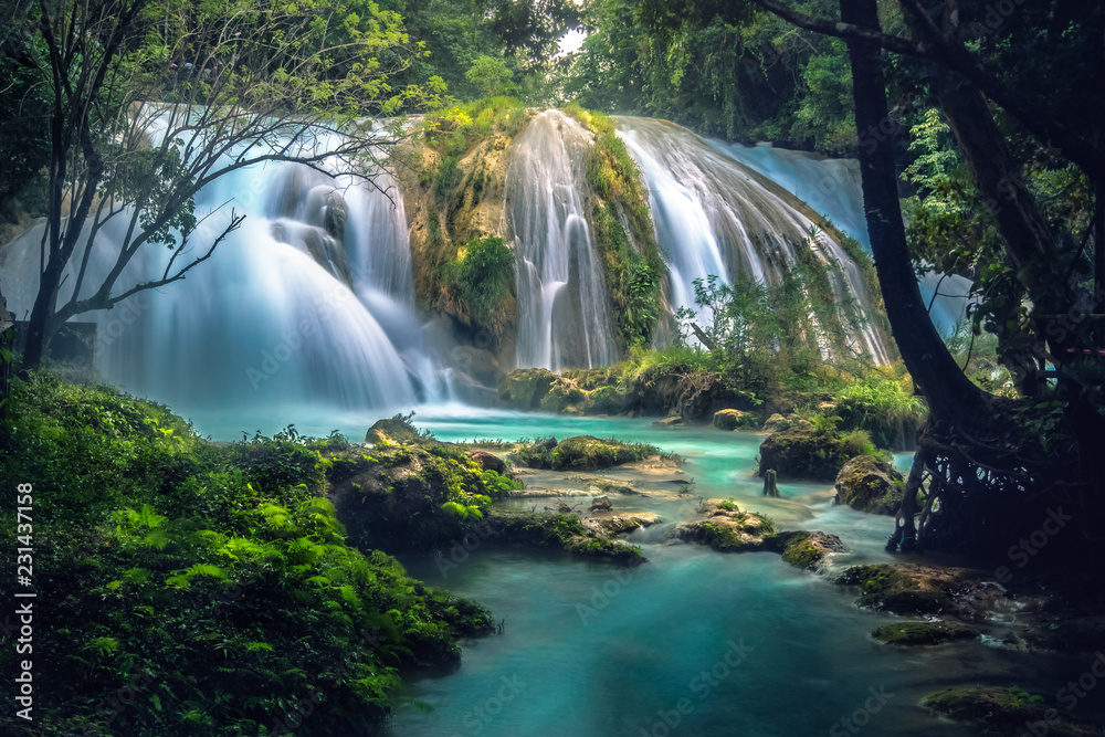 Cascadas de Agua Azul Stock Photo | Adobe Stock