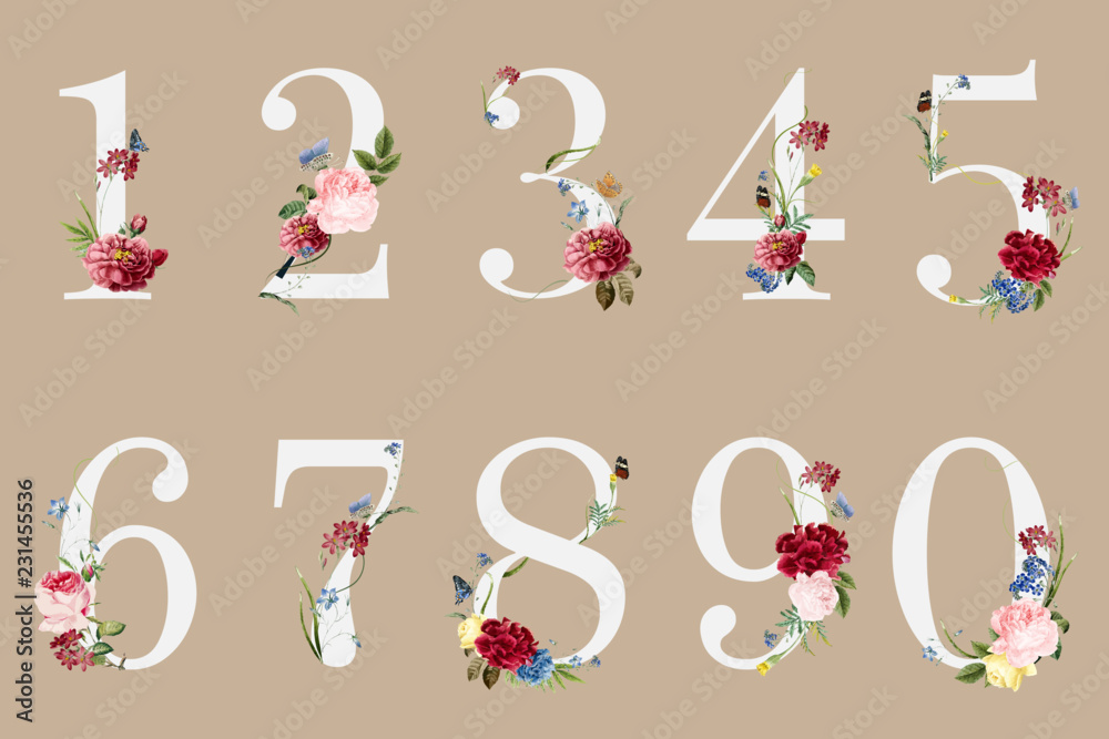 Botanical numbers with tropical flowers illustration Stock Vector ...
