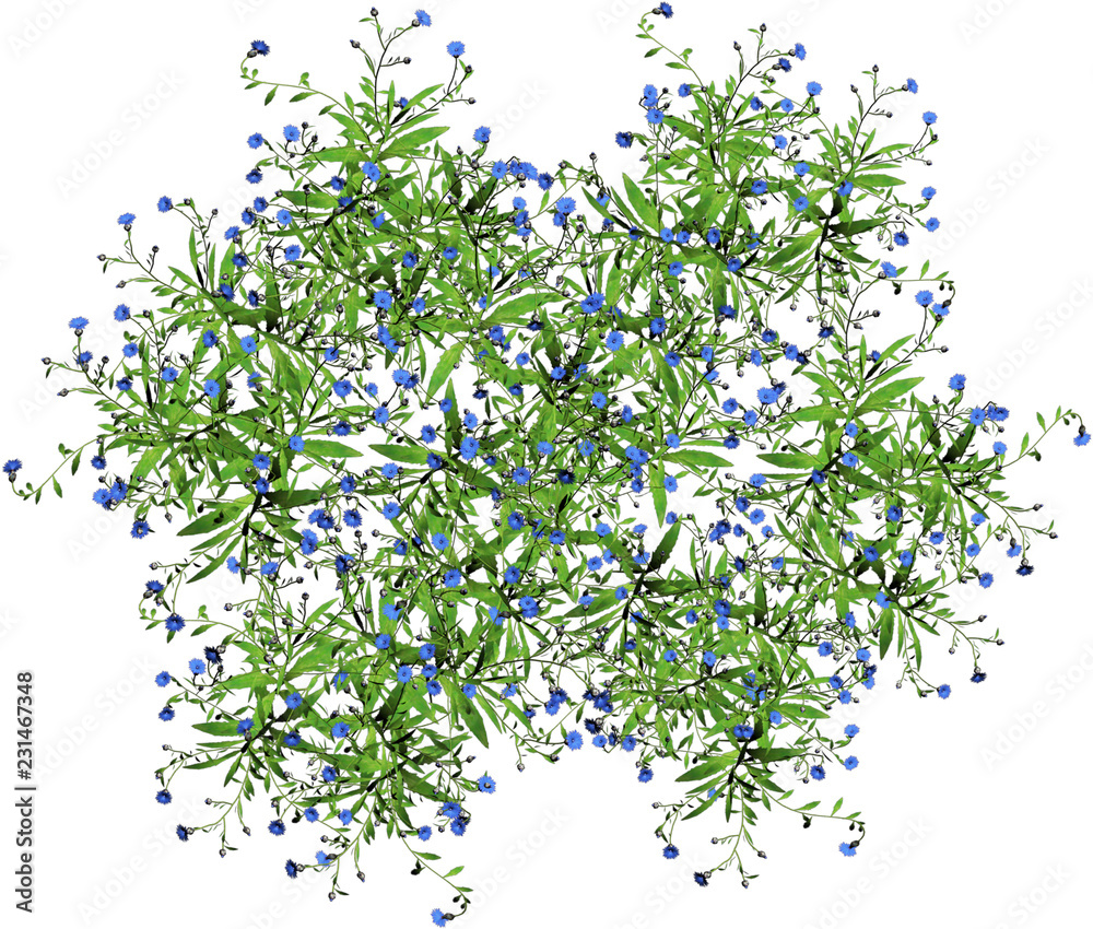 Plant & Tree overhead icon / top view symbols isolated on white ...