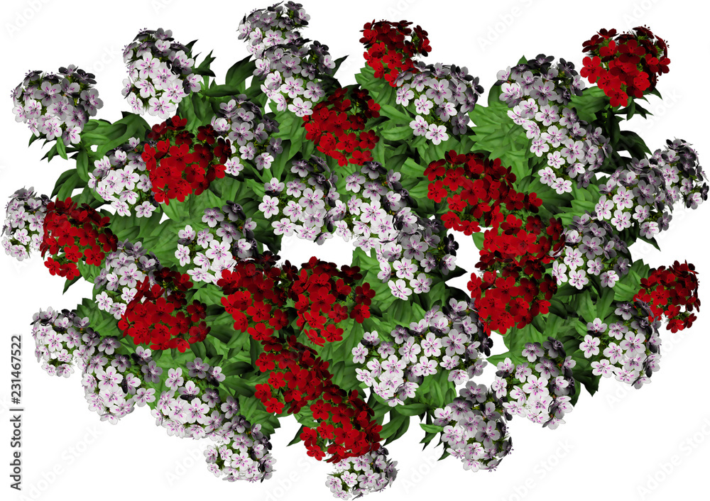 Plant & Tree overhead icon / top view symbols isolated on white ...