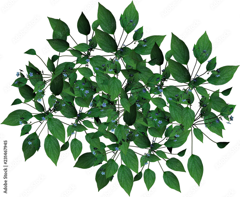 Plant & Tree overhead icon / top view symbols isolated on white ...