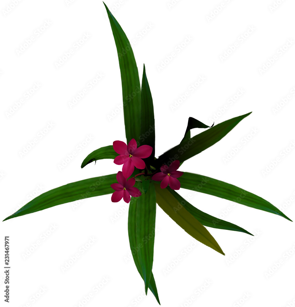 Plant & Tree overhead icon / top view symbols isolated on white ...