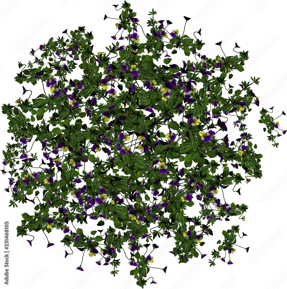 Plant & Tree overhead icon / top view symbols isolated on white ...