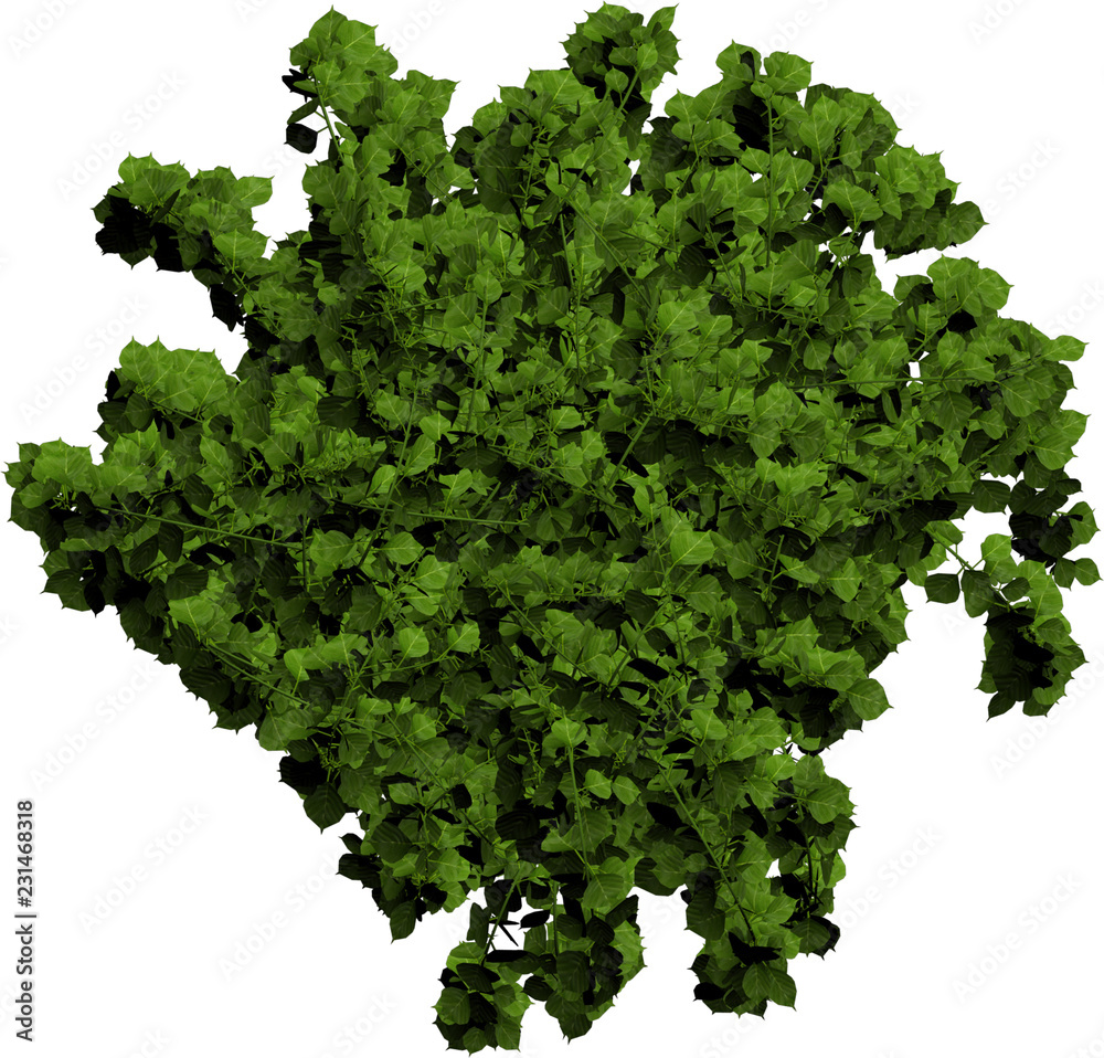 Plant & Tree overhead icon / top view symbols isolated on white ...