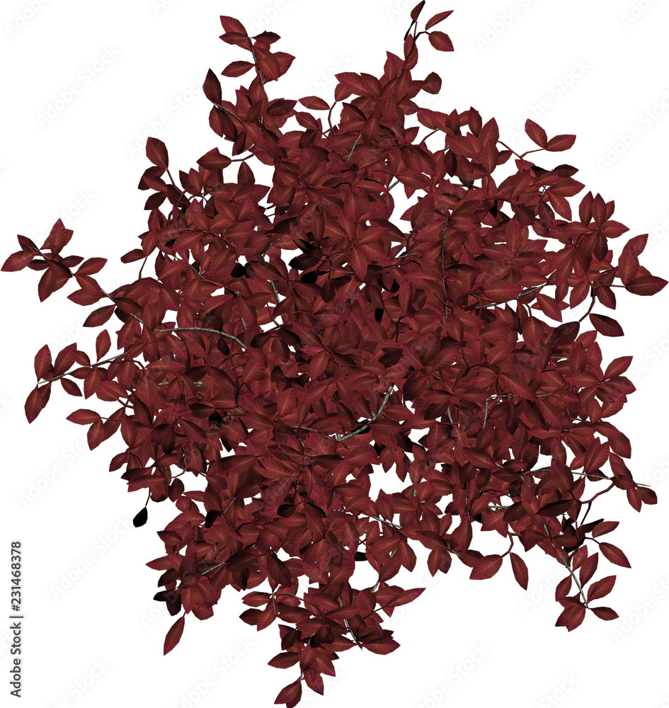 Plant & Tree overhead icon / top view symbols isolated on white ...