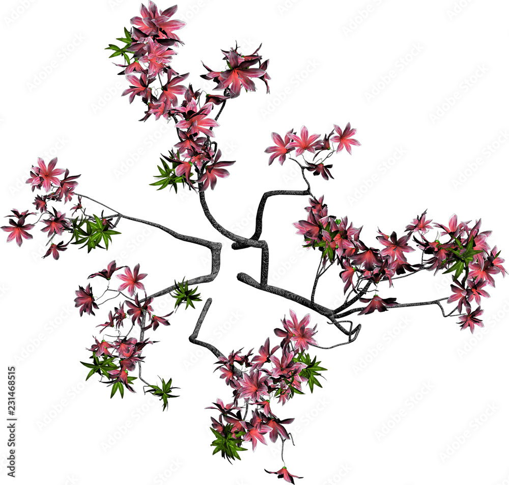 Plant & Tree overhead icon / top view symbols isolated on white ...