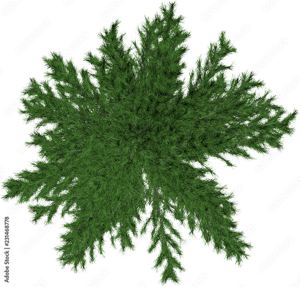 Plant & Tree overhead icon / top view symbols isolated on white ...