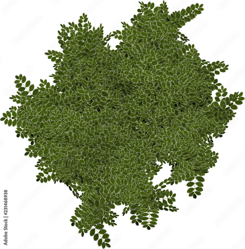 Plant & Tree overhead icon / top view symbols isolated on white ...