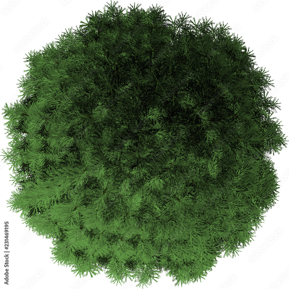 ภาพประกอบสต็อก Plant & Tree overhead icon / top view symbols isolated ...