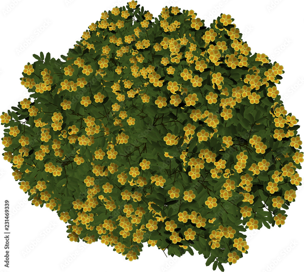 Plant & Tree overhead icon / top view symbols isolated on white ...