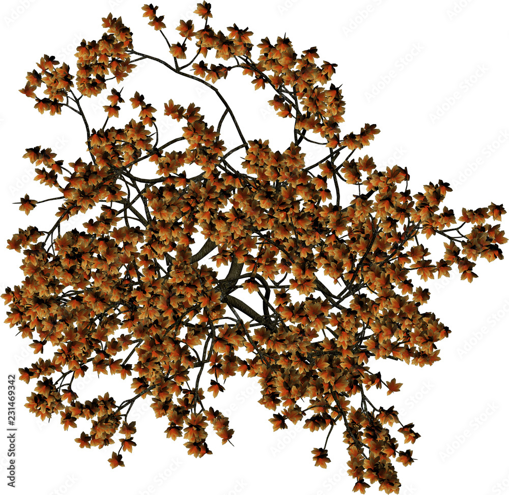 Plant & Tree overhead icon / top view symbols isolated on white ...