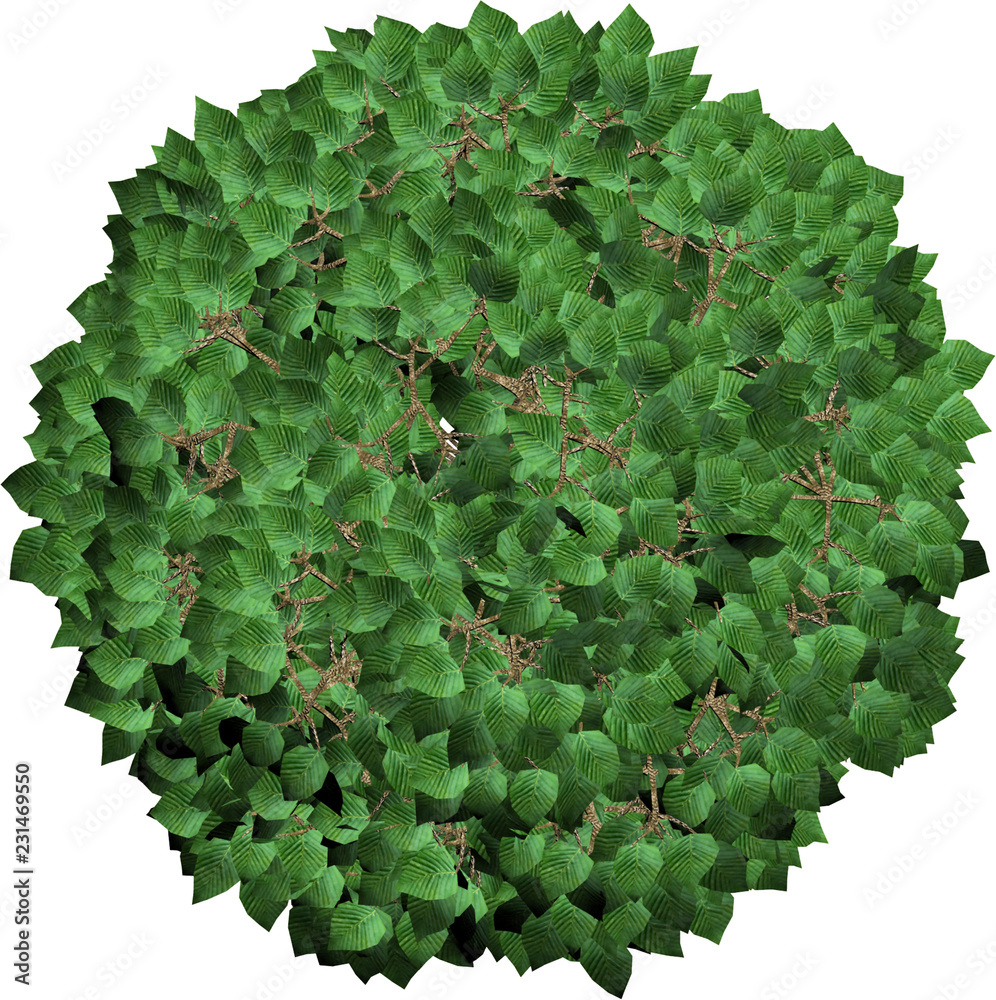 Plant & Tree overhead icon / top view symbols isolated on white ...