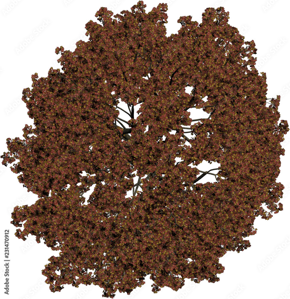 Plant & Tree overhead icon / top view symbols isolated on white ...