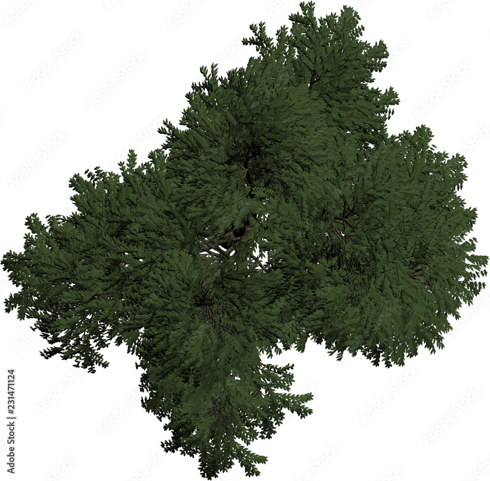Plant & Tree overhead icon / top view symbols isolated on white ...