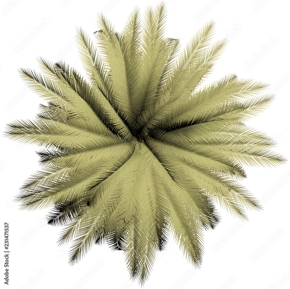 Plant & Tree overhead icon / top view symbols isolated on white ...