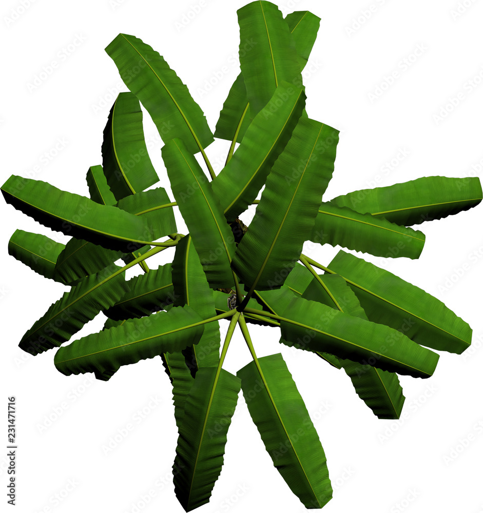 Plant & Tree overhead icon / top view symbols isolated on white ...