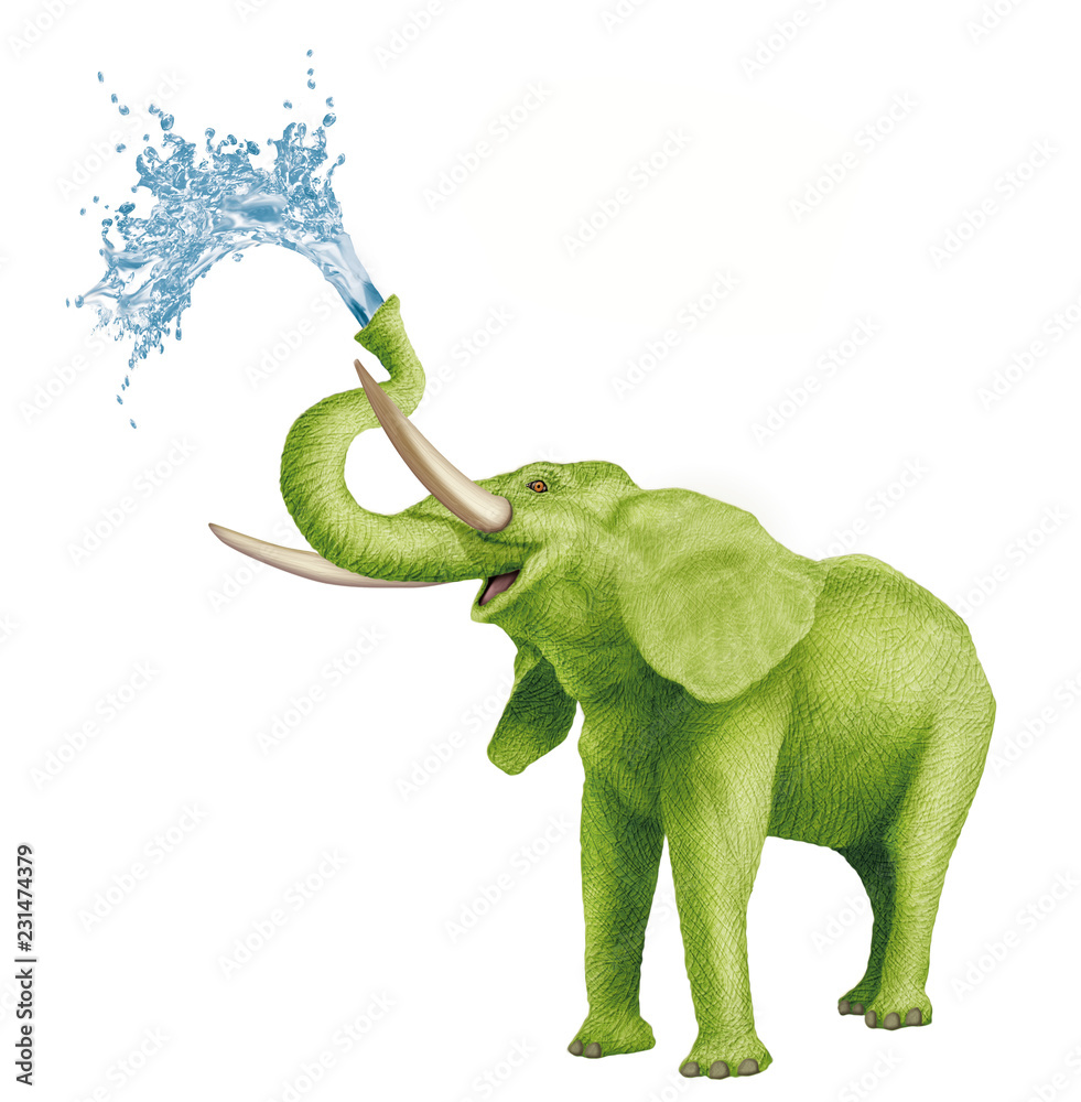 éléphant, vert, jet d'eau, isolé, mammifère, blanc, faune, sauvage ...