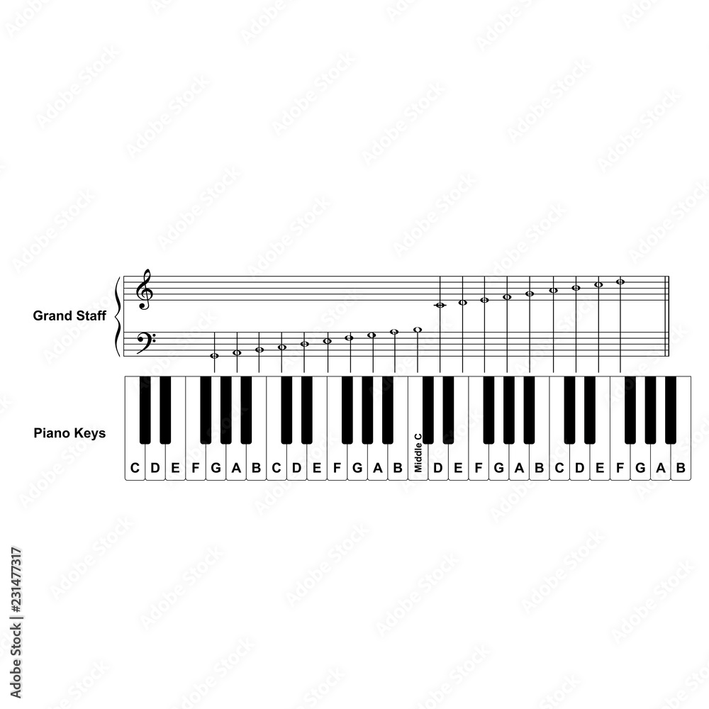 Piano keyboard diagram - piano keyboard layout on white background ...