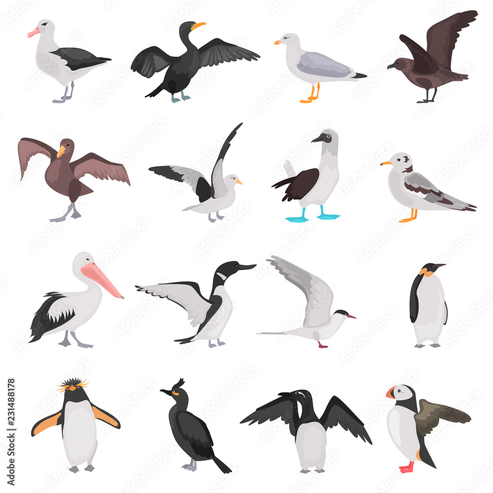 Different sea birds color flat icons set Stock Vector | Adobe Stock