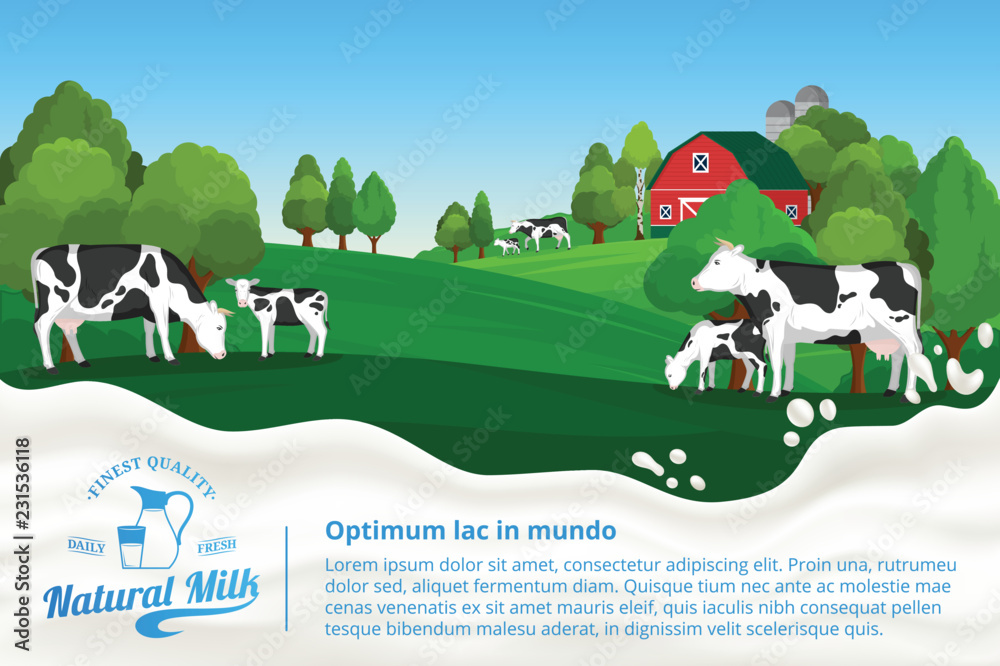Vector milk illustration with cows, calves, farm and milk splash Stock ...