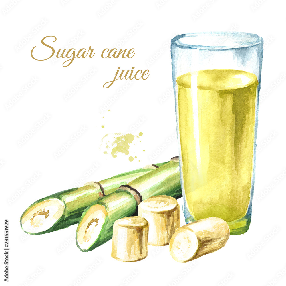 Fresh squeezed sugar cane juice in the drinking glass and with cut ...