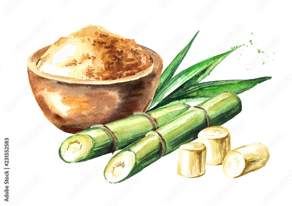 Sugar cane with brown sugar composition. Watercolor hand drawn ...