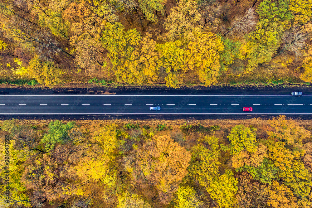 Aerial view of road with red car in beautiful autumn forest. Beautiful ...