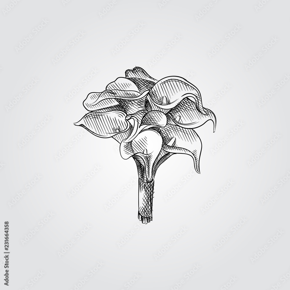 Hand Drawn Bridal bouquet Sketch Symbol isolated on white background ...