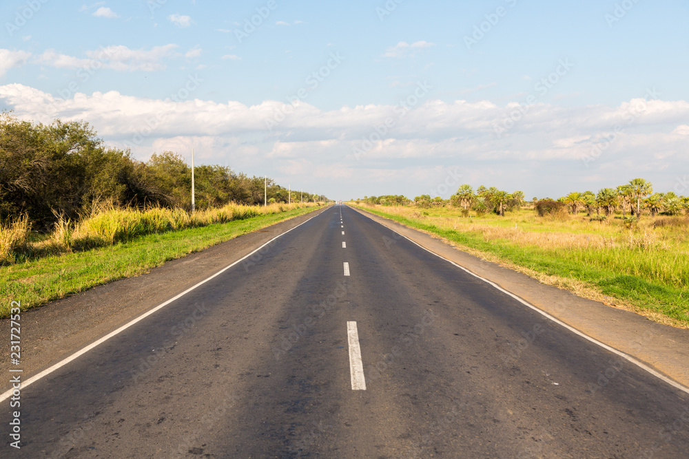 Foto de National Route 9 highway runs through a palm forest and grasses ...