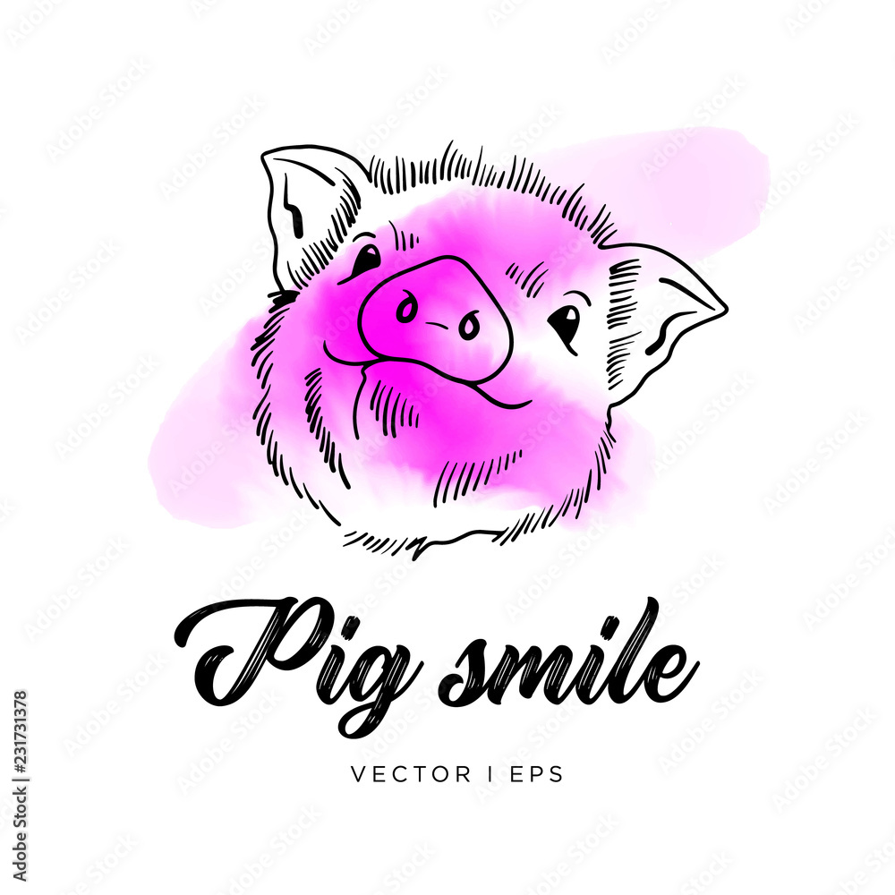 Hand drawn vector pig cute face. Piglet outline simple drawing, pink ...