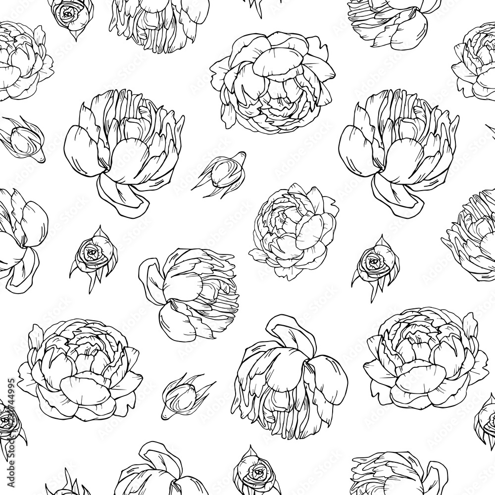 Seamless pattern Peony Rose, white black background, stunning peonies ...