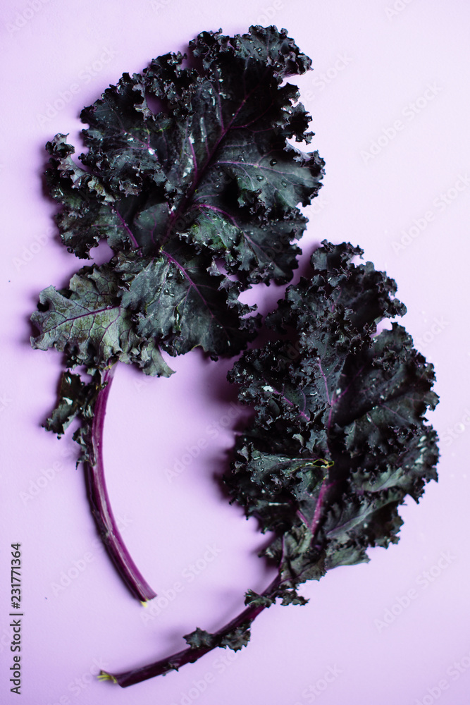 Red kale on purple background Stock Photo | Adobe Stock