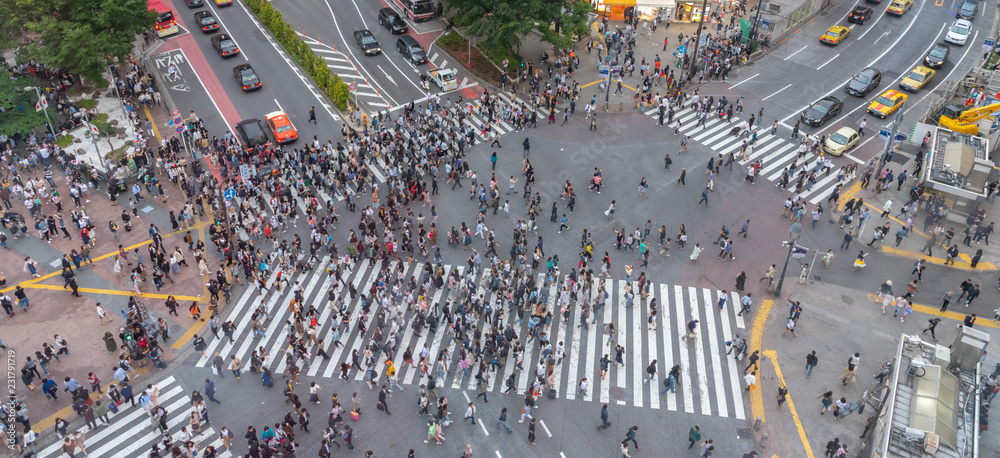 Pedestrians crosswalk at Shibuya district in Tokyo, Japan. Shibuya ...