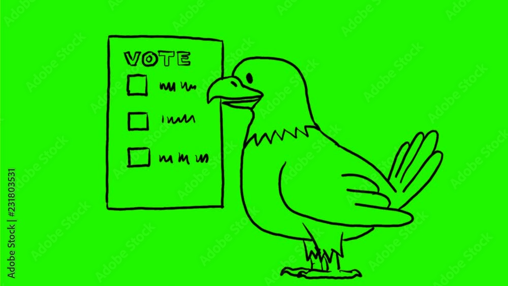 2d Animation motion graphics showing a drawing of an American bald ...