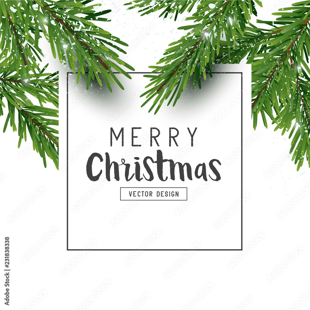 Festive Christmas design layout composition with fir tree branches and ...
