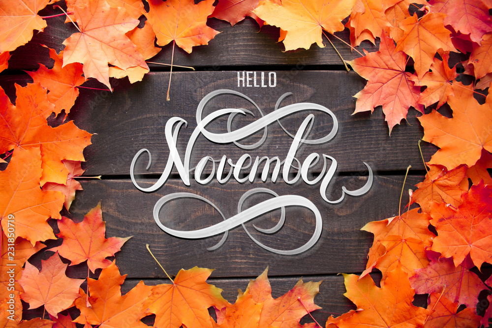 November Fall Background