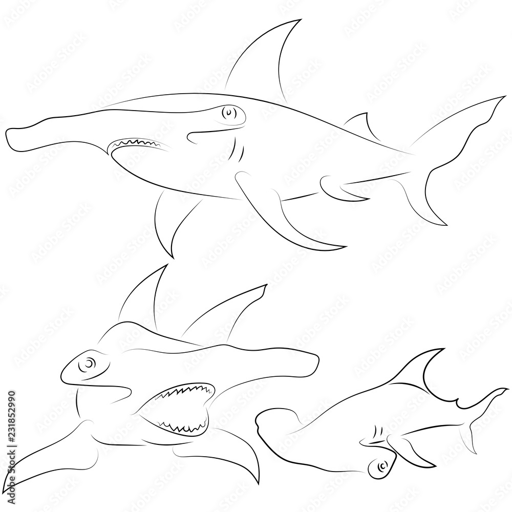 Black line hammerhead sharks on white background. Hand drawing vector ...