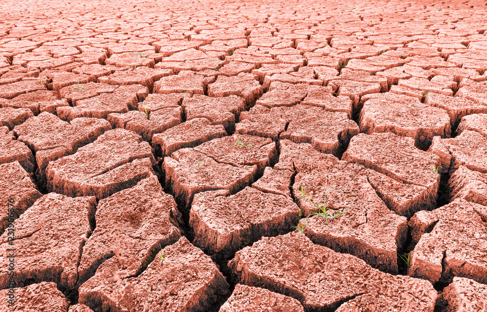 Desert Extreme Weather