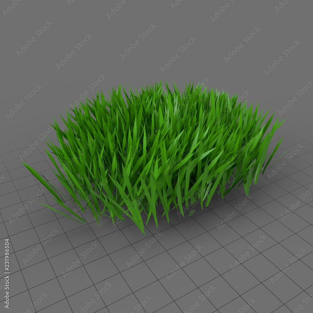 Stylized patch of grass Stock 3D asset | Adobe Stock