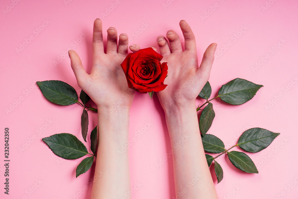 Fashion hand natural cosmetics women, Red Rose beautiful chamomile ...