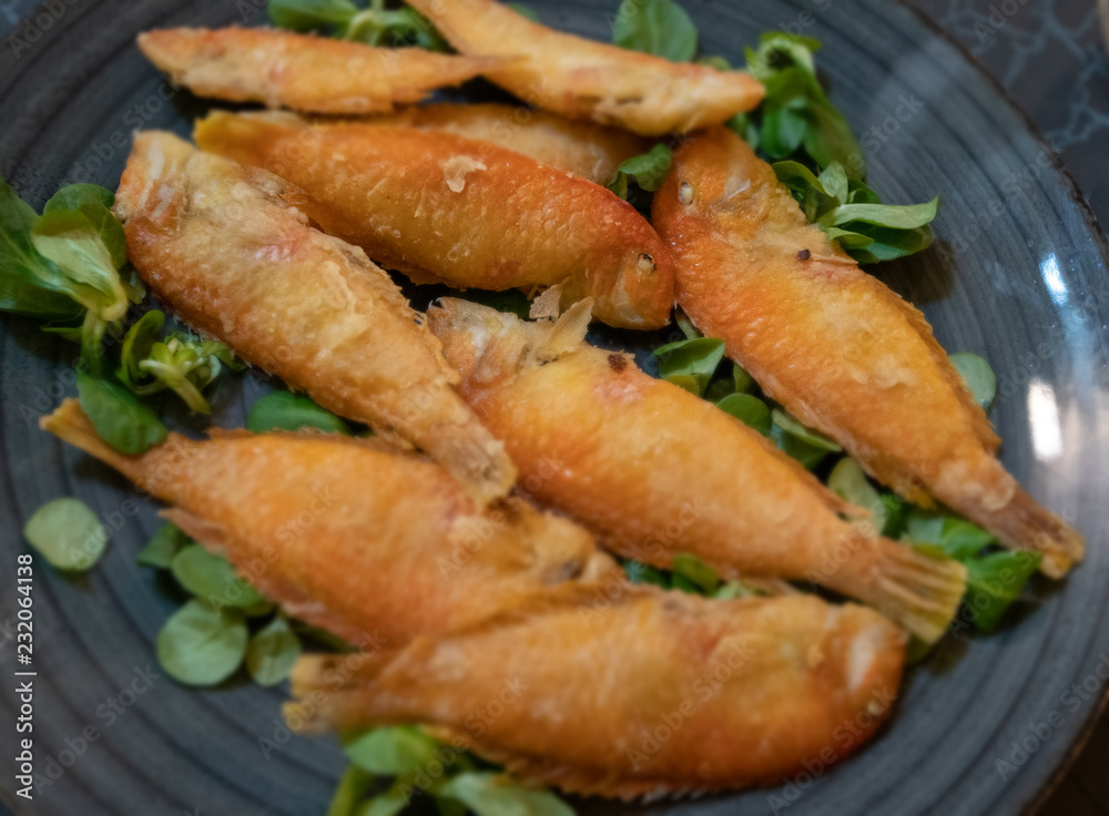 Calabrian fried fish called surici (mice), seabed fish. Pearly ...