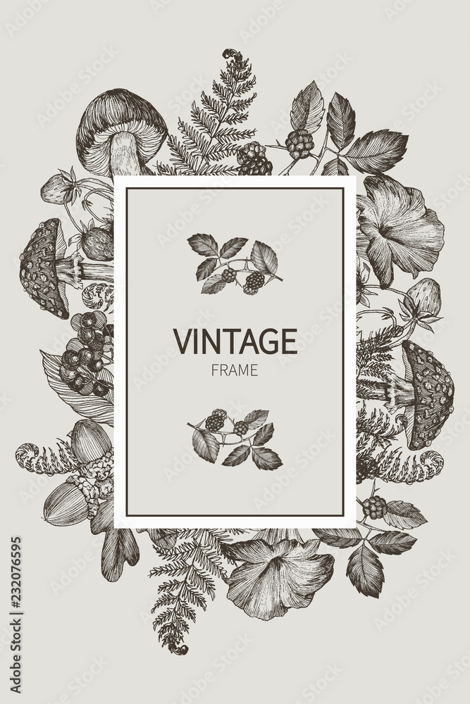 Beautiful card with a square frame with wreath of different plants of ...