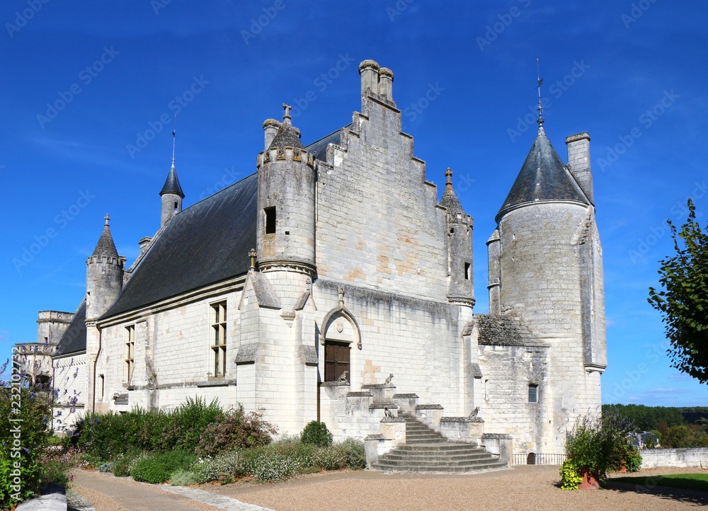 royal house, Château de Loches, castle, france, Loire valley ...