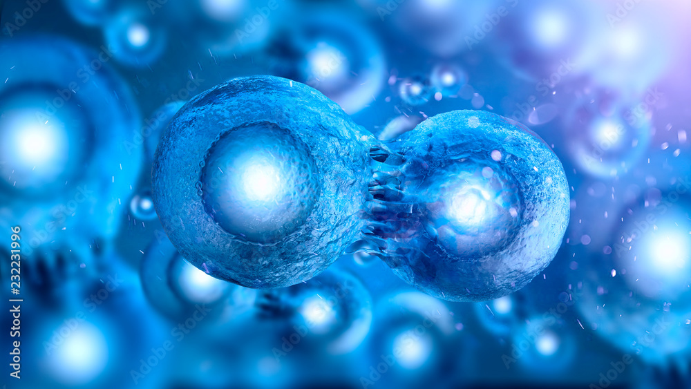 Cell embryo, Mitosis under microscope. 3D illustration Stock ...