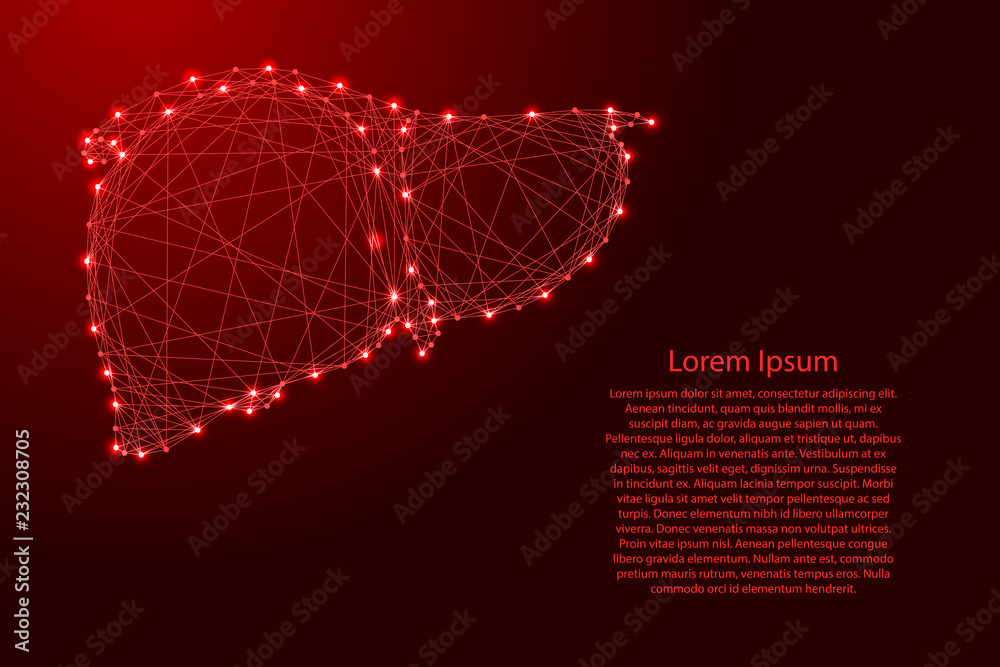 Human liver organ gland of external secretion body from futuristic ...