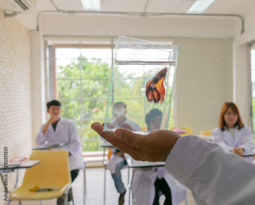 Foto Stock Professor holf the fish tank while teaching about the fish ...