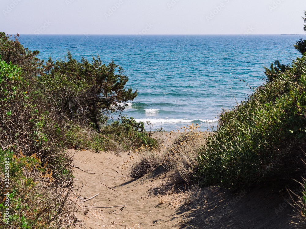 Mare a Capalbio Stock Photo | Adobe Stock